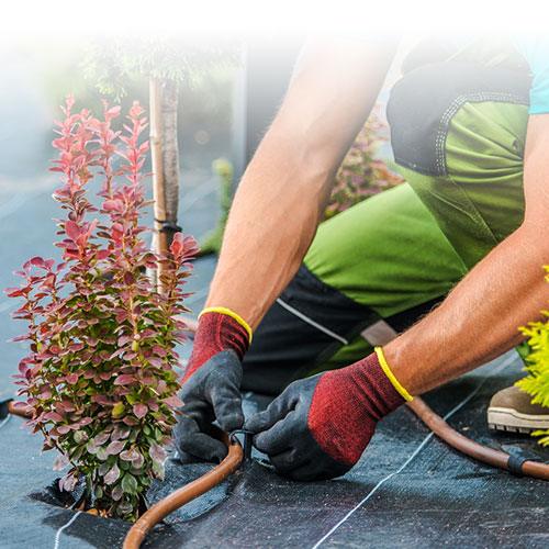 #1 Terralift Aeration New London CT | 860-390-5262 | GreenTurf