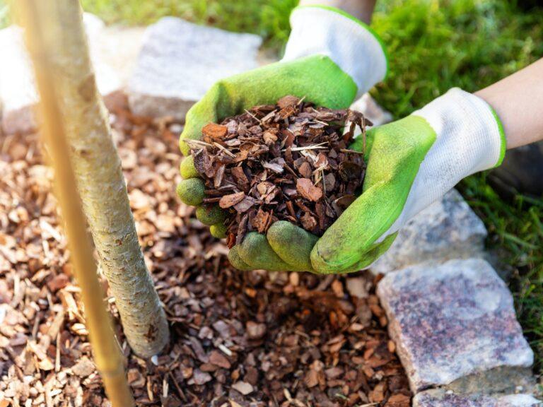 What is Mulching? Everything You Need to Know | GreenTurf
